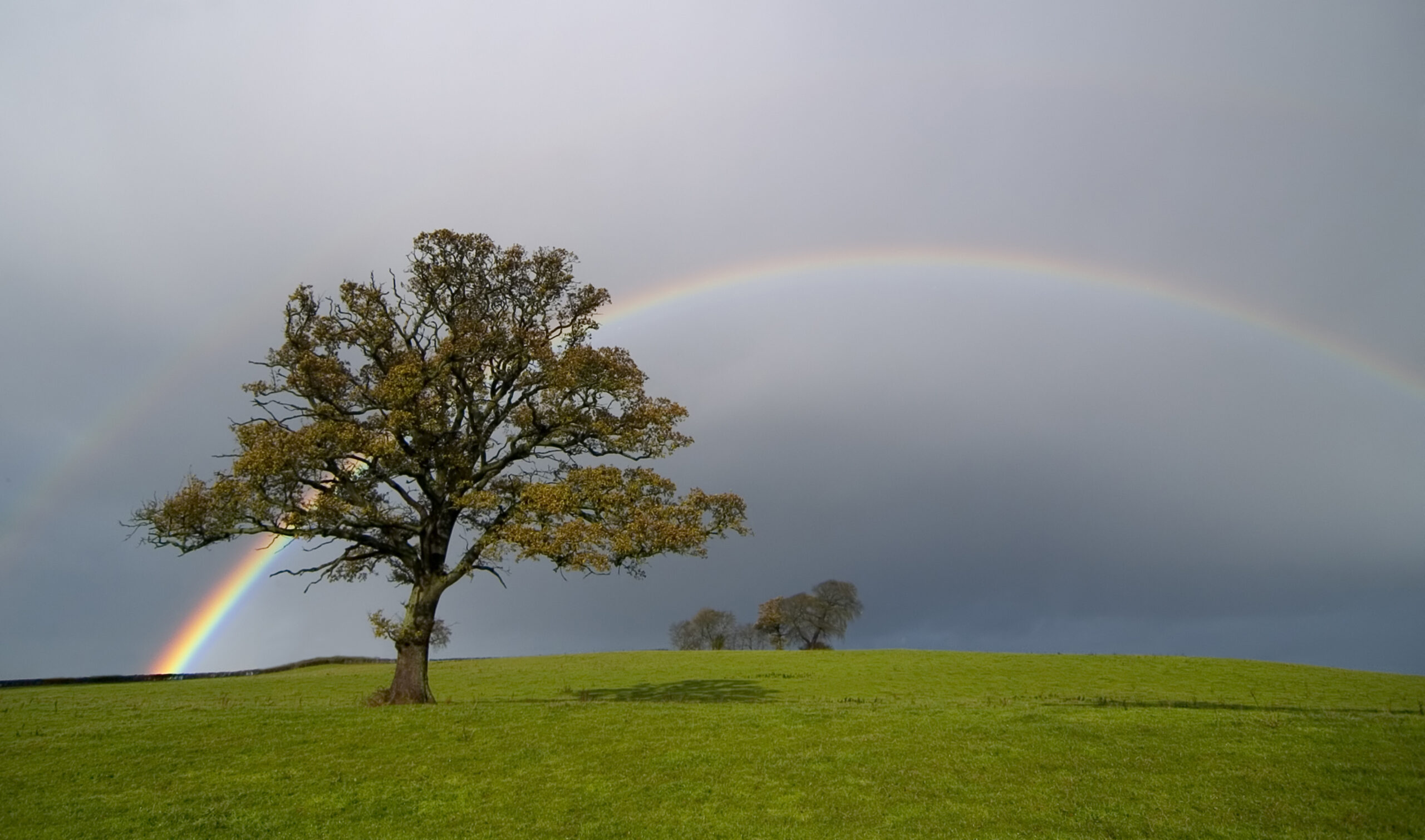 Municipalité - Mairie de Tronchy